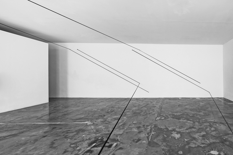 Work | Anna-Maria Bogner